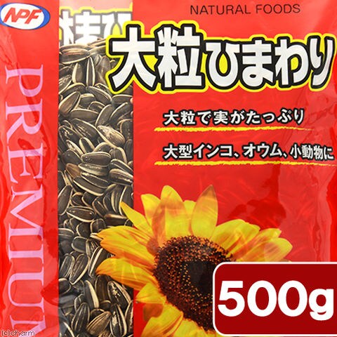 dショッピング |アウトレット品 NPF プレミアム 大粒ひまわり 500g 訳あり 関東当日便 | カテゴリ：の販売できる商品 | チャーム (023210697)|ドコモの通販サイト