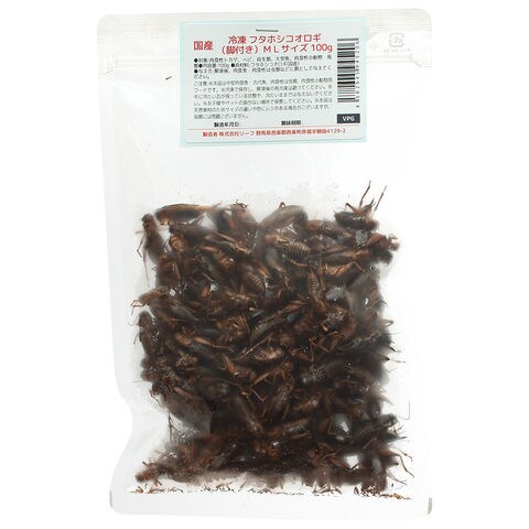 dショッピング |冷凍★ 冷凍フタホシコオロギ（脚付き） MLサイズ 100g 爬虫類エサ 無添加 無着色 別途クール手数料 常温商品同梱不可 ...