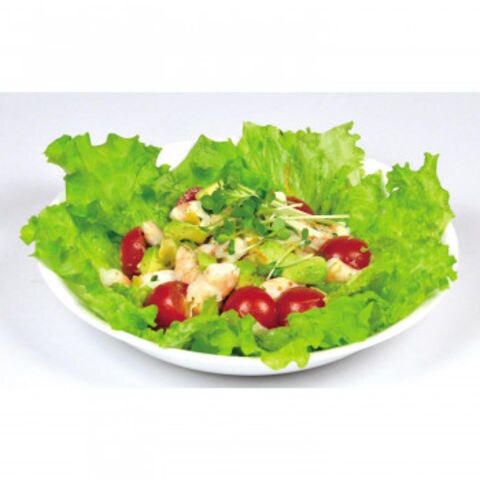 パール金属 ガジェコン オールステンレスアボカドカッター CC-1226 調理 製菓道具【同梱不可】[ ][AB]: ホビナビ ANA ...