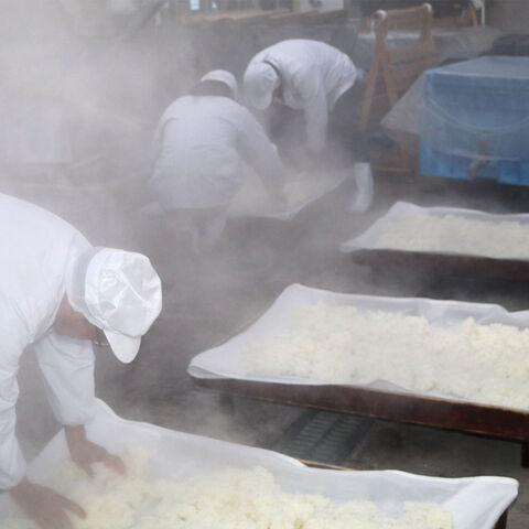 dショッピング |四季桜 純米吟醸Y.S 720ml | カテゴリ：の販売できる商品 | JTBショッピング (094990014737)|ドコモの通販サイト